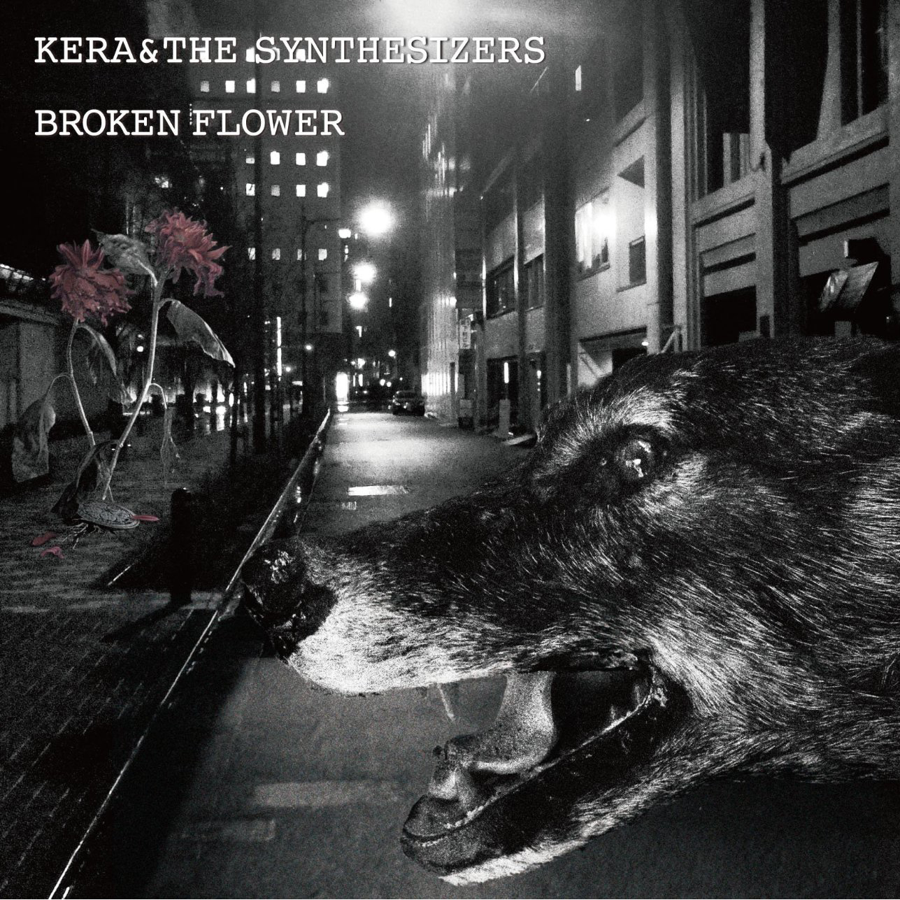 BROKEN FLOWER / ケラ＆ザ・シンセサイザーズ : くるり / QURULI