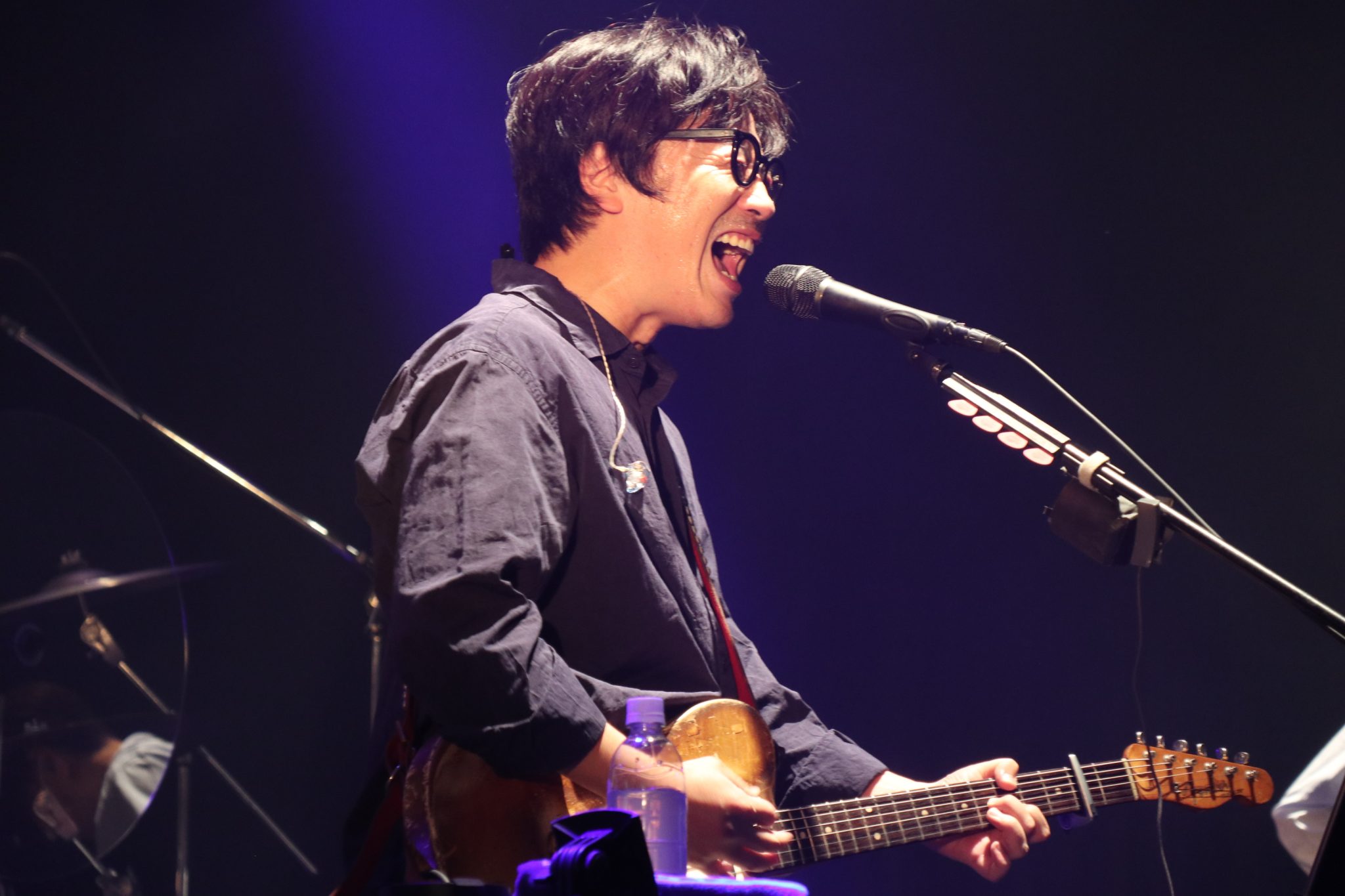 NEWS : くるり / QURULI